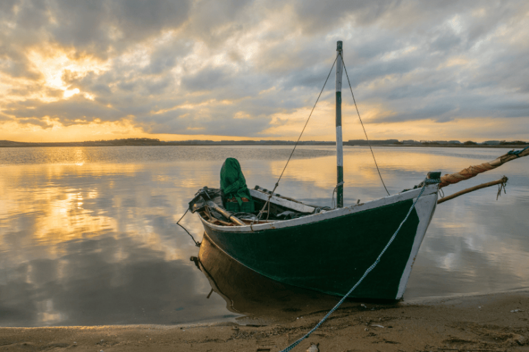 MEDIOS DE TRANSPORTE - DICCIONARIO VISUAL - TOLLSPANISH